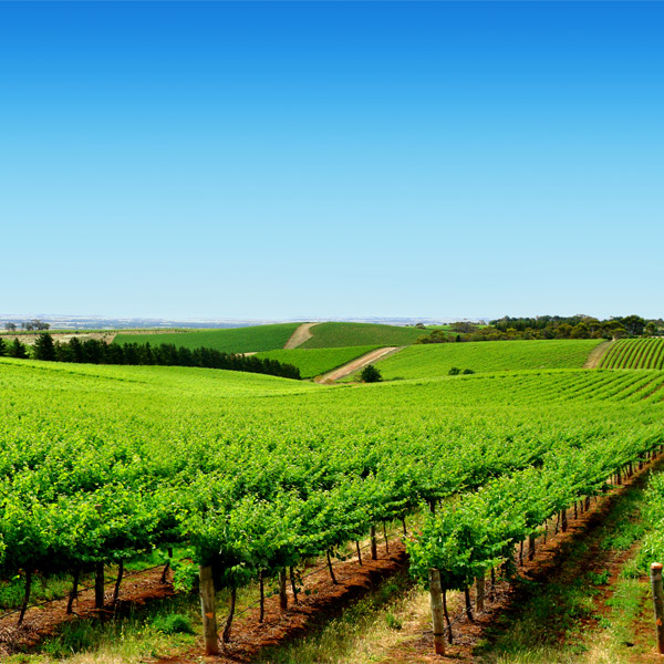 Actium Land Developments | Vintage Estate - land for sale - Actium Land ...